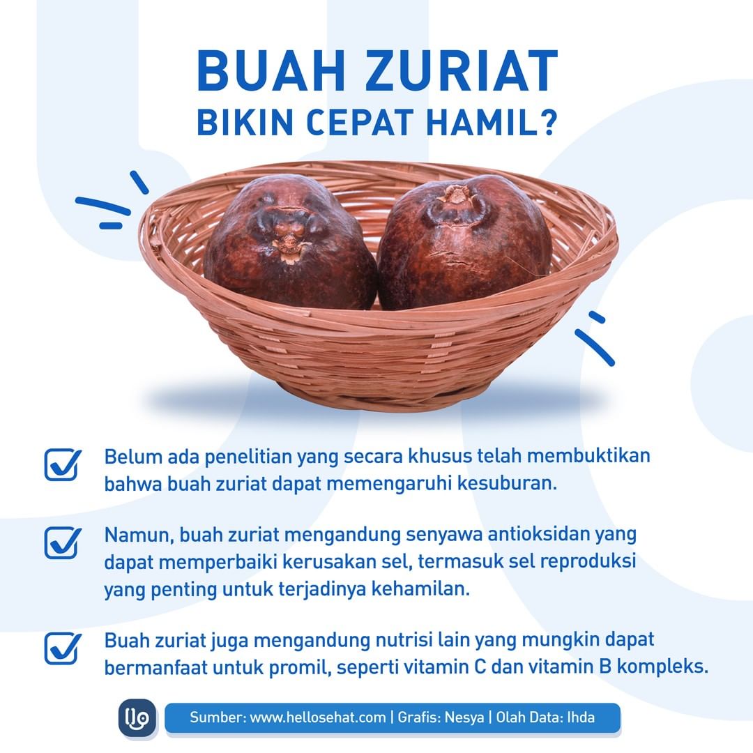 Buah Zuriat Bikin Cepat Hamil? - HelloSehat
